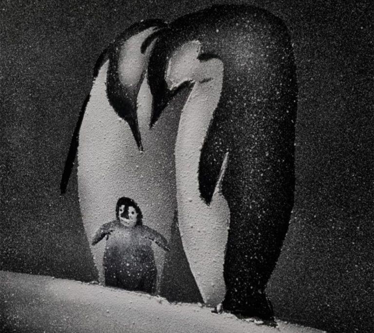Tutorials - Snow Graffiti